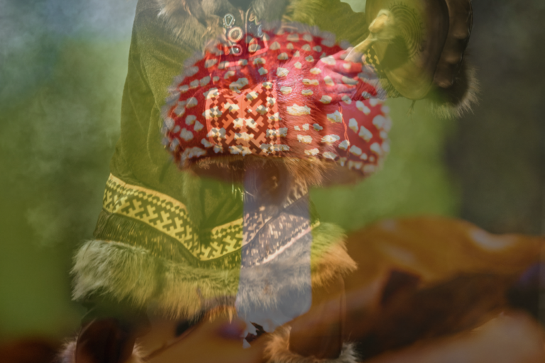 Muchomor czerwony (Amanita muscaria). Grzyb w historii i religiach ...